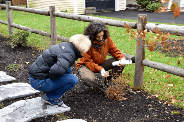 Boost Your Landscape Sales Skills with These Expert Tips